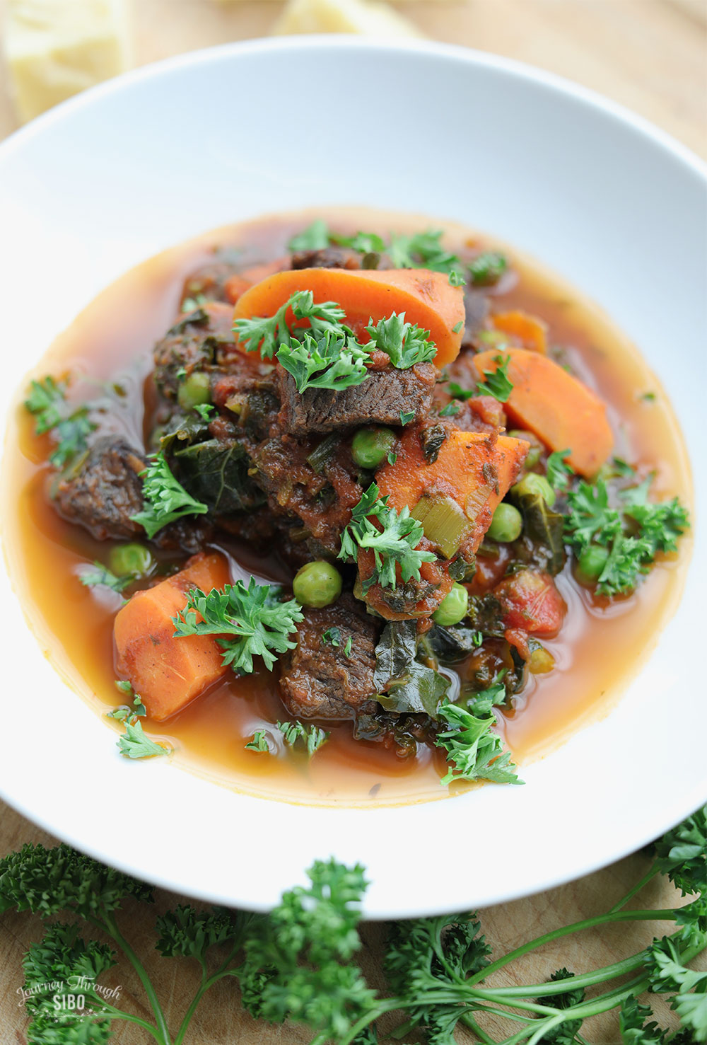 Country Beef Stew | Journey Through SIBO