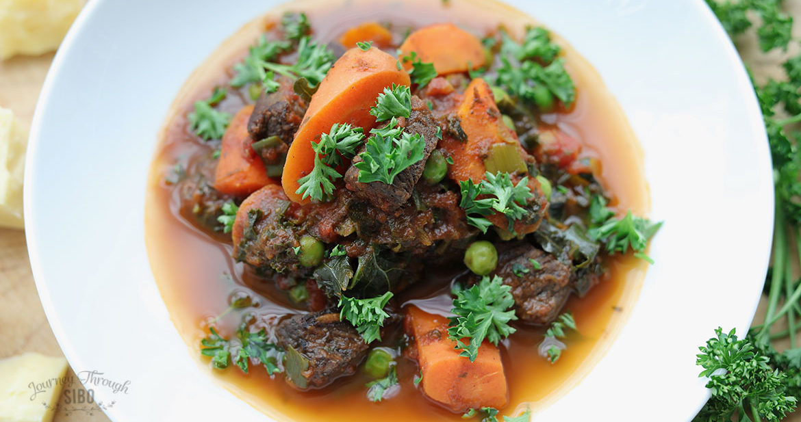 Country Beef Stew | Journey Through SIBO